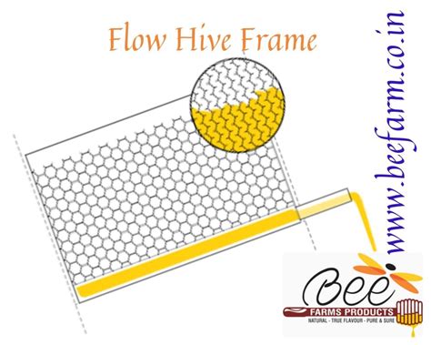Flow Hive Frames 6nos Frames With Key Shipping Free