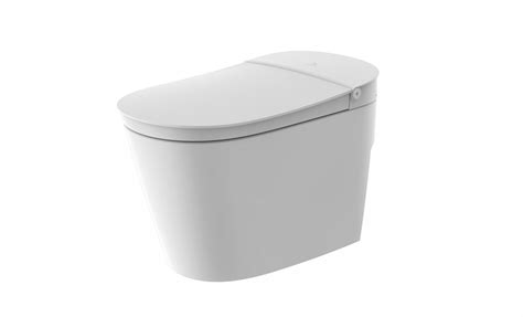 Integrated Bidet And Toilet Units With Pump Assisted Flush