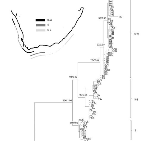 Mismatch Distribution Observed Mismatch Distribution For A The Total Download Scientific