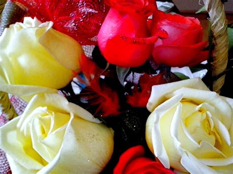 Free Picture Yellow Red Roses Arranged Bouquet