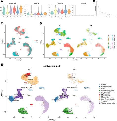 Quality Control Cell Clustering And Annotation Of Ca Single Cell