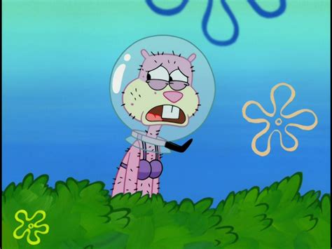 Spongebob Squarepants Season 7 Image Fancaps