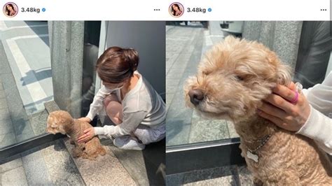 임보라 Sns 업로드 활발···스윙스와 결별설엔 침묵