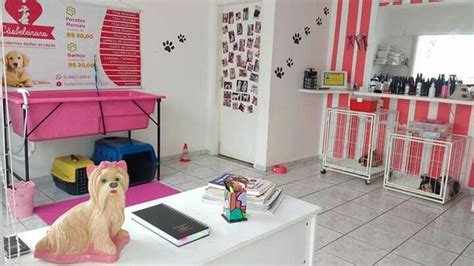 Pin De Lynne Daniel Em Animais Banho E Tosa Produtos Para Pet Shop