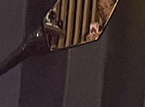 Pretty Japanese Girl Turns Out To Be 50 Years Old Man Offline Afrinik