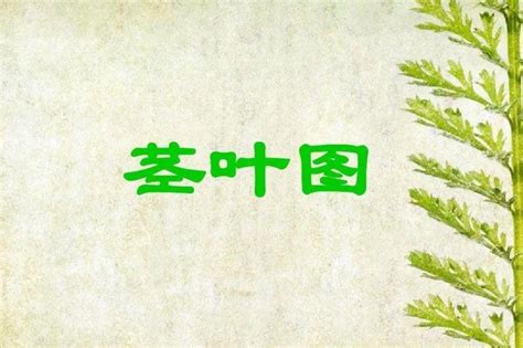 茎叶图 统计学概念 搜狗百科