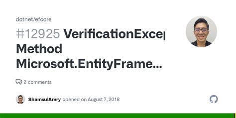 verificationexception method microsoft entityframeworkcore query