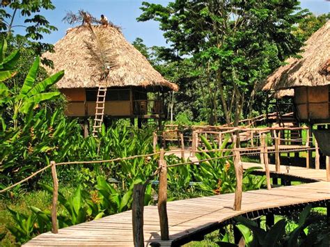 Cotton Tree Lodge Huts 297 Punta Gorda Belize Glamping Hub