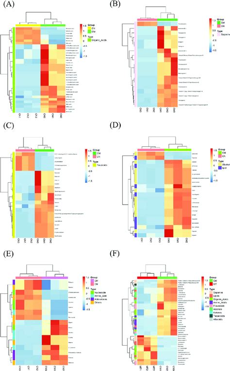 Heatmap Of Differential Metabolites A Organic Acids Between Cm And Cn