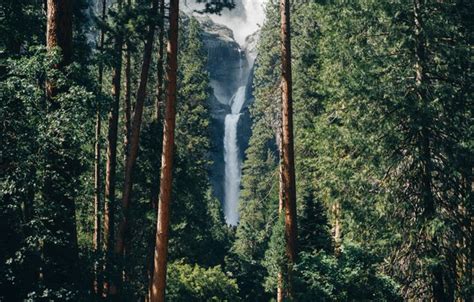 Wallpaper Nature Rock Wood Waterfall Trees for mobile and desktop section природа