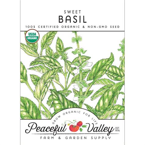 Organic Bulk Herb Seeds Grow Organic