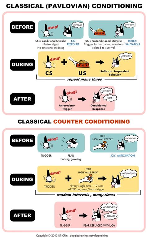 All Sizes Classical Conditioning And Counter Conditioning Flickr