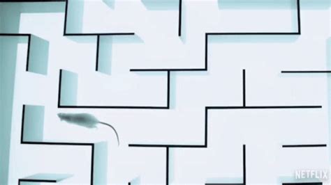 Rat In A Maze Oxygen Rat In A Maze Oxygen Gotta Escape Discover