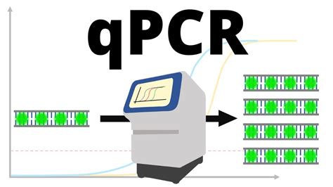 Qpcr Real Time Pcr Protocol Explained