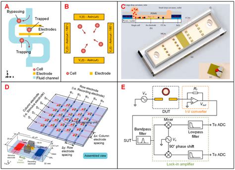 Recent Advances In Electrical Impedance Sensing Technology For Single Cell Analysis Pmc