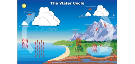 Percolation Water Cycle Definition