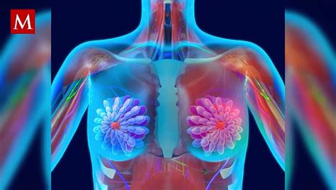 ¿qué Tipo De Cáncer Tenía Verónica Toussaint Así Fue La Lucha De La