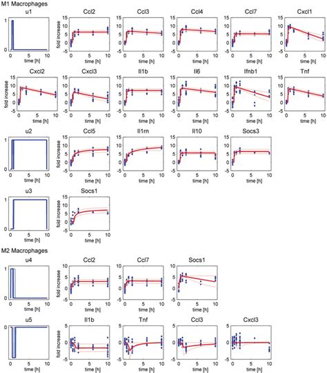 Simulation Results Of The Ode Model Describing Mrna Expression In Download Scientific Diagram