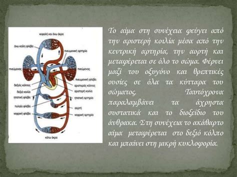 κυκλοφορικό σύστημα