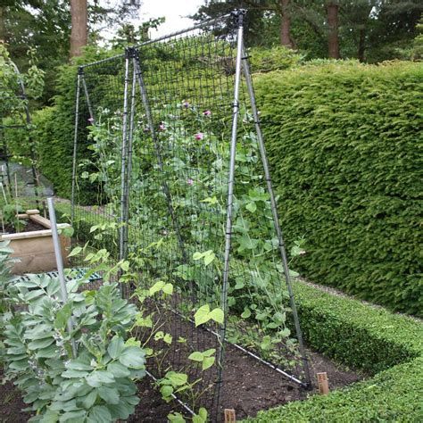 Harrod Slot And Lock® Bean And Pea Support Frames Harrod Horticultural Uk