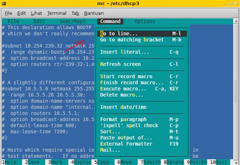 Langkah Konfigurasi Dhcp Server Di Linux Debian Dengan Vmware