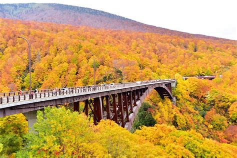 日光SL大樹號 SL TAIJU 行駛於下今市駅鬼怒川温泉駅東武鐵道復古蒸汽火車行駛區間 時刻表 購票方式 JRTimes