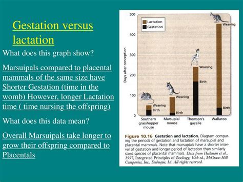 Ppt The 3 Subclasses Of Mammals Differ Strikingly In Their Modes Of
