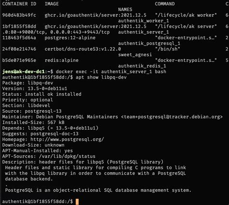 Arm64 Docker Image Gives Error From Python About How It Doesnt Have Libpq Version 10 Or Above