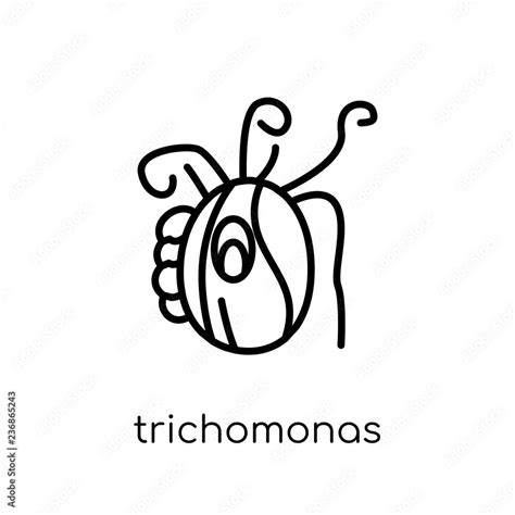 Trichomonas Infection Trichomoniasis Icon Trendy Modern Flat Stock Vector Adobe Stock