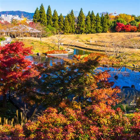 京都の紅葉・ライトアップ情報。2020年に訪れるべきなのはここ！ Caedekyoto カエデ京都 紅葉と伝統美を引き継ぐバッグ