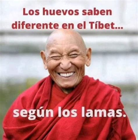 Pin De Alfredo Chávez En Memes E Imagenes En 2024 Citas De Humor