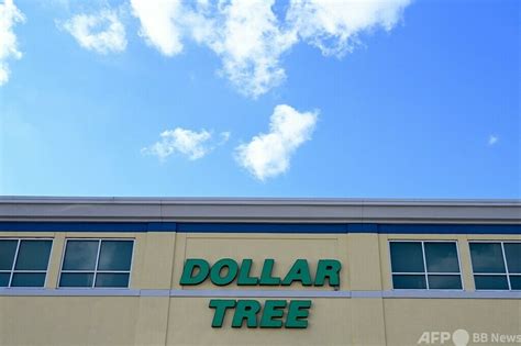 米1ドルショップ「ダラー・ツリー」、125ドルに値上げ 写真3枚 国際ニュース：afpbb News