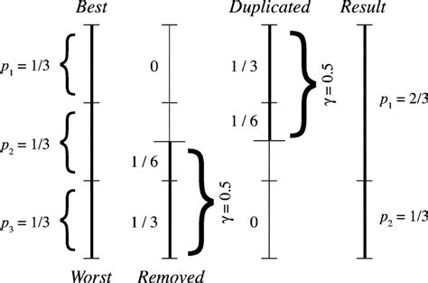 operation of truncation selection in an infinite population figure