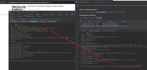 Portswigger Xss Lab