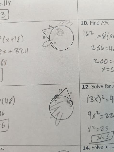 Chicken Math R Chickens