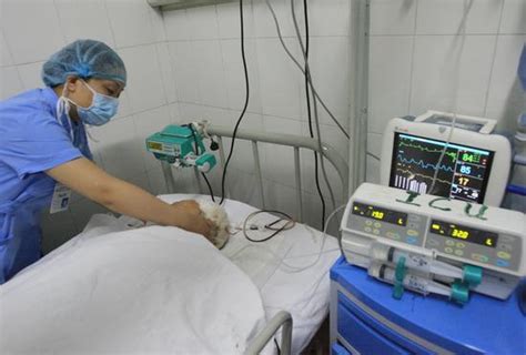 图文：医护人员救治危重脑外伤病人新闻中心新浪网