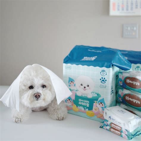 강아지 용품 순둥이와댕댕이 물티슈 산책시 안심하고 써요 네이버 블로그