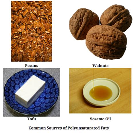 Unsaturated Fats Definition Sources Examples Study