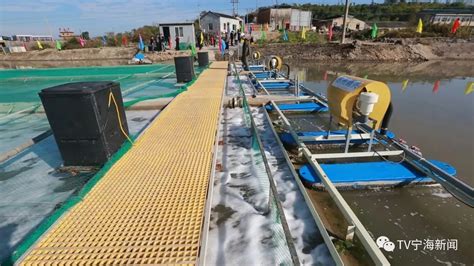 跑道养鱼设计图明细养鱼图片农村鱼塘图第10页大山谷图库