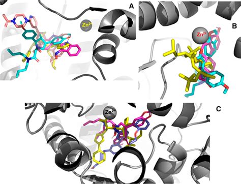 Predicted Binding Conformations Of All Investigated Inhibitors From The