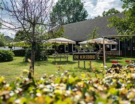 De Kribbe Locatie Activiteit Wilp Uitjesbazen