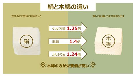 おいしい食材の見分け方～8月の旬野菜編～ 食品画像のそざい屋さん｜商用可の食べ物フリー画像配布サイト