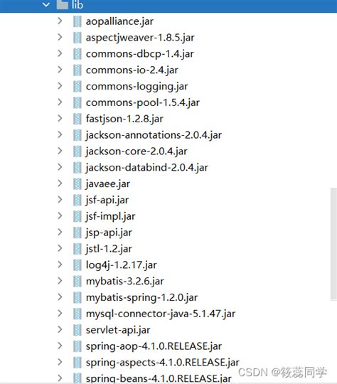 Spring集成 Csdn博客
