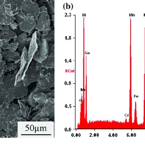 Sem Image A And Eds Result B Of As Milled Ni Mn Ga Powder Particles