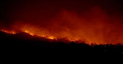 아마존 열대우림 화재가 우리에게 미치는 영향
