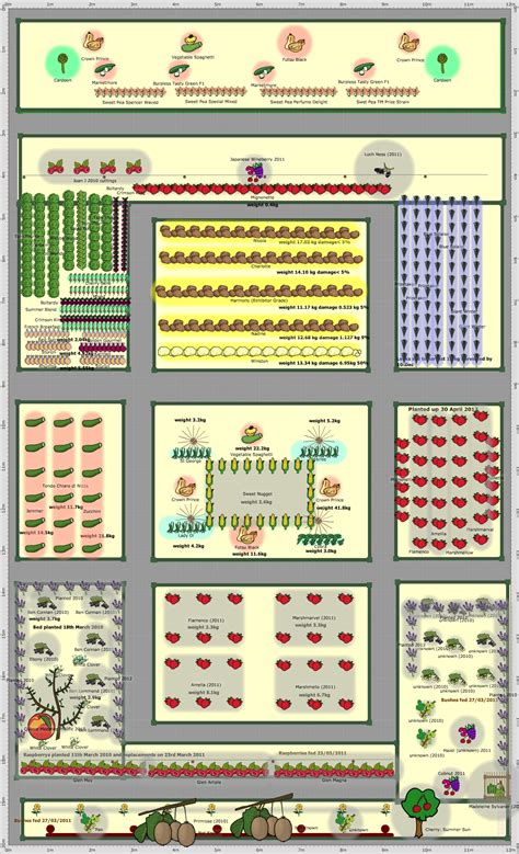 Garden Plan 2013 Plot 41