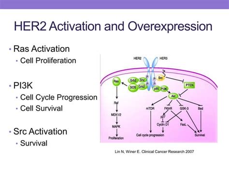 Trastuzumab Pptx