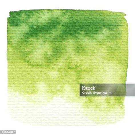 벡터 녹색 페인트 텍스처 흰색에 격리 수채화 배너 당신의 디자인 거친에 대한 스톡 벡터 아트 및 기타 이미지 거친 그런지 이미지 기법 녹색 Istock