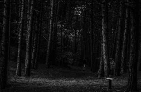 Offenderman Doppleai