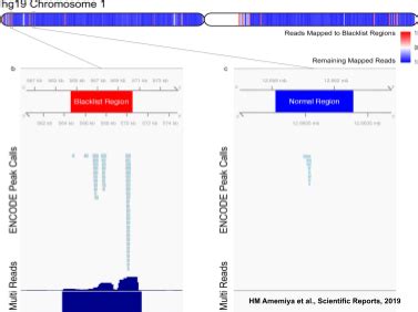 BI Blacklisted Regions In The Genome Keun Hong